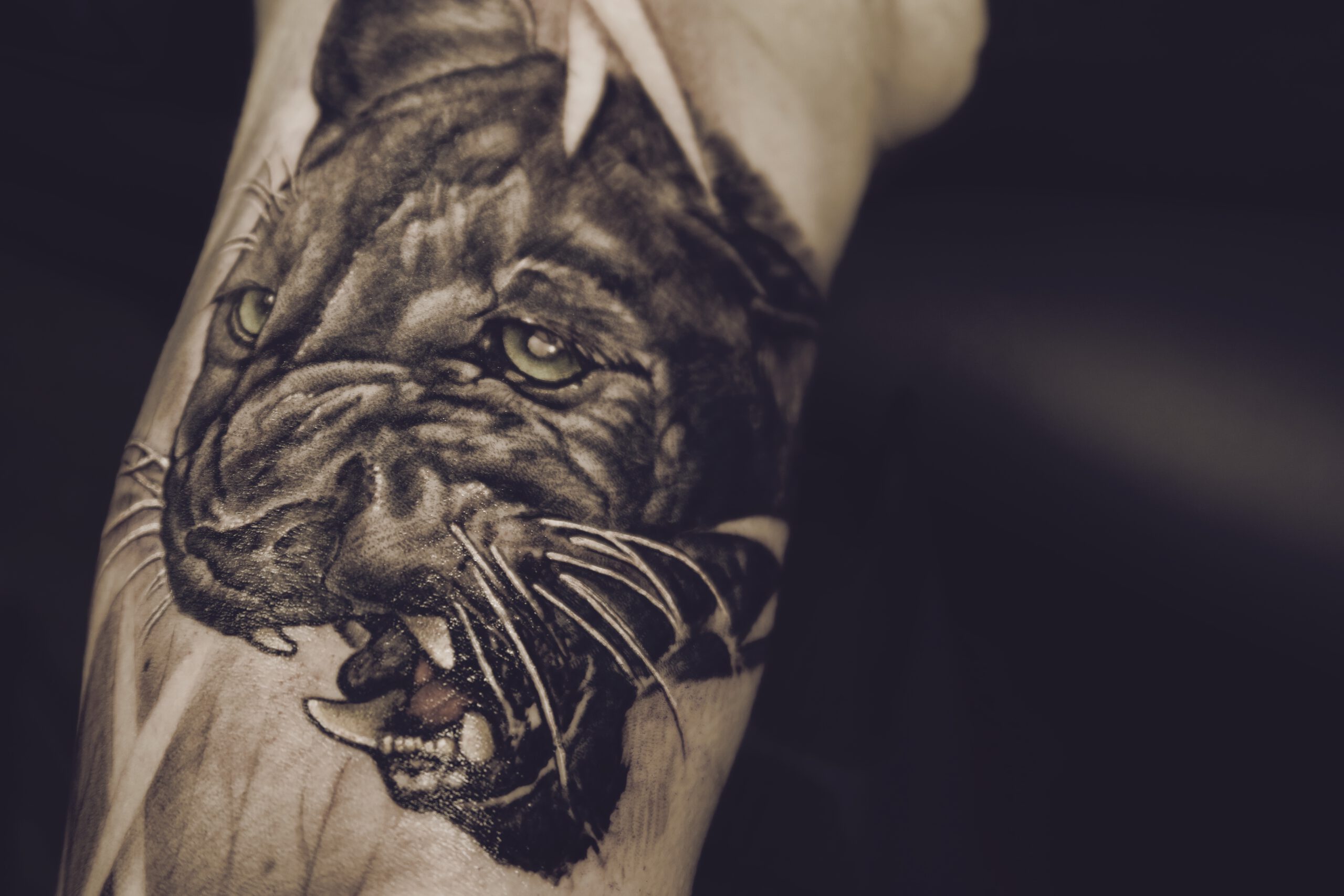 Premium Standard Tattoos